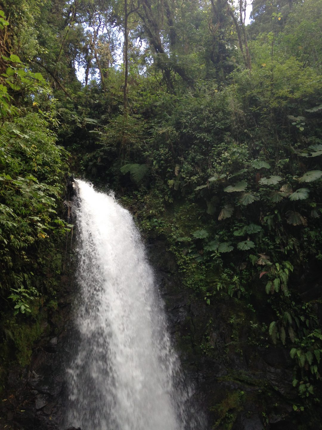 The Peace Lodge - Costa Rica - Discover Finer Living